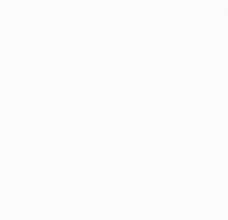 Diresco - Pure White | Granite House