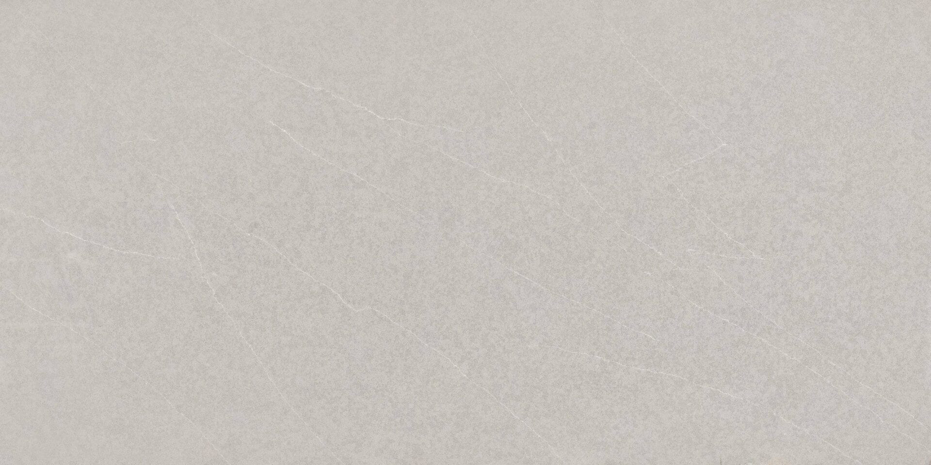 Lumina - Silver Birch Quartz | Granite House